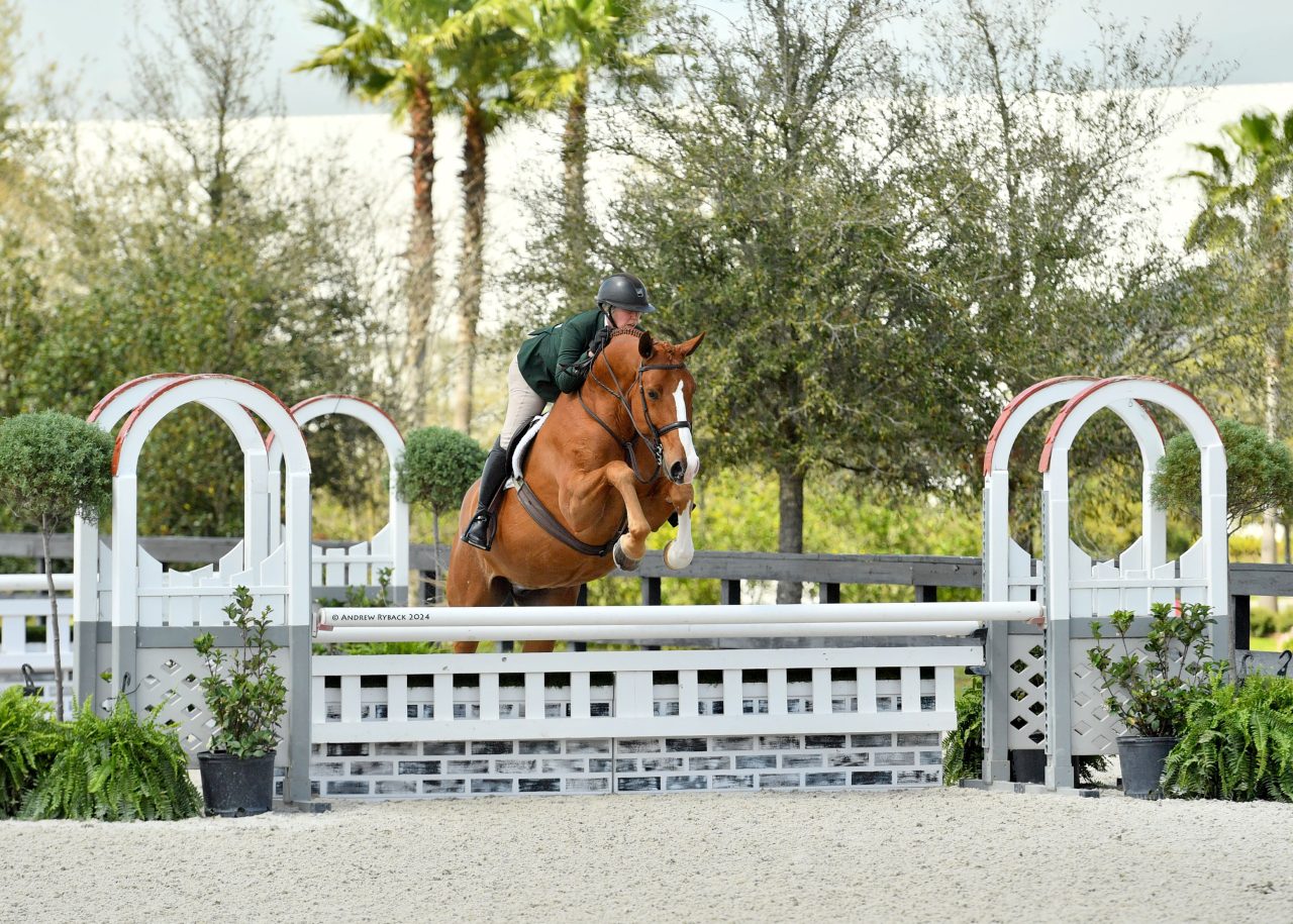 Services | Fox View Farm